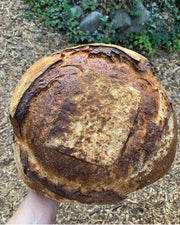 Francis Bread